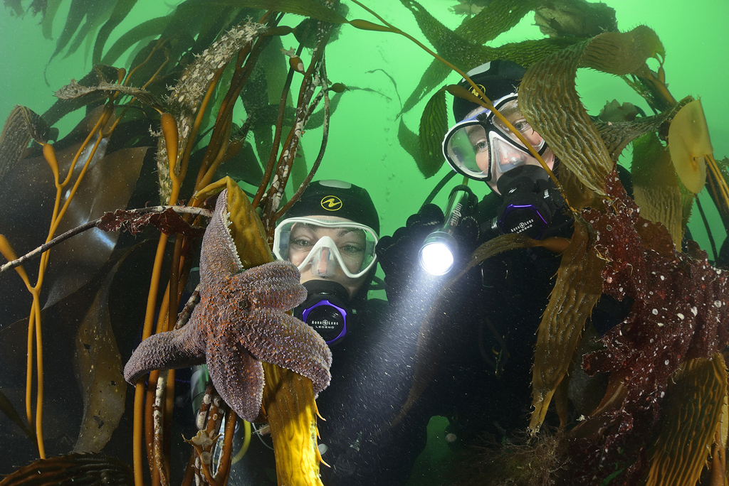 Camp-David-Expedition bald im TV - TAUCHEN.de