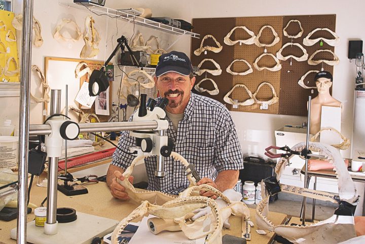 Haiforscher Dr. Erich Ritter im Interview - TAUCHEN.de