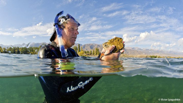 Der Palast des Khan - TAUCHEN.de