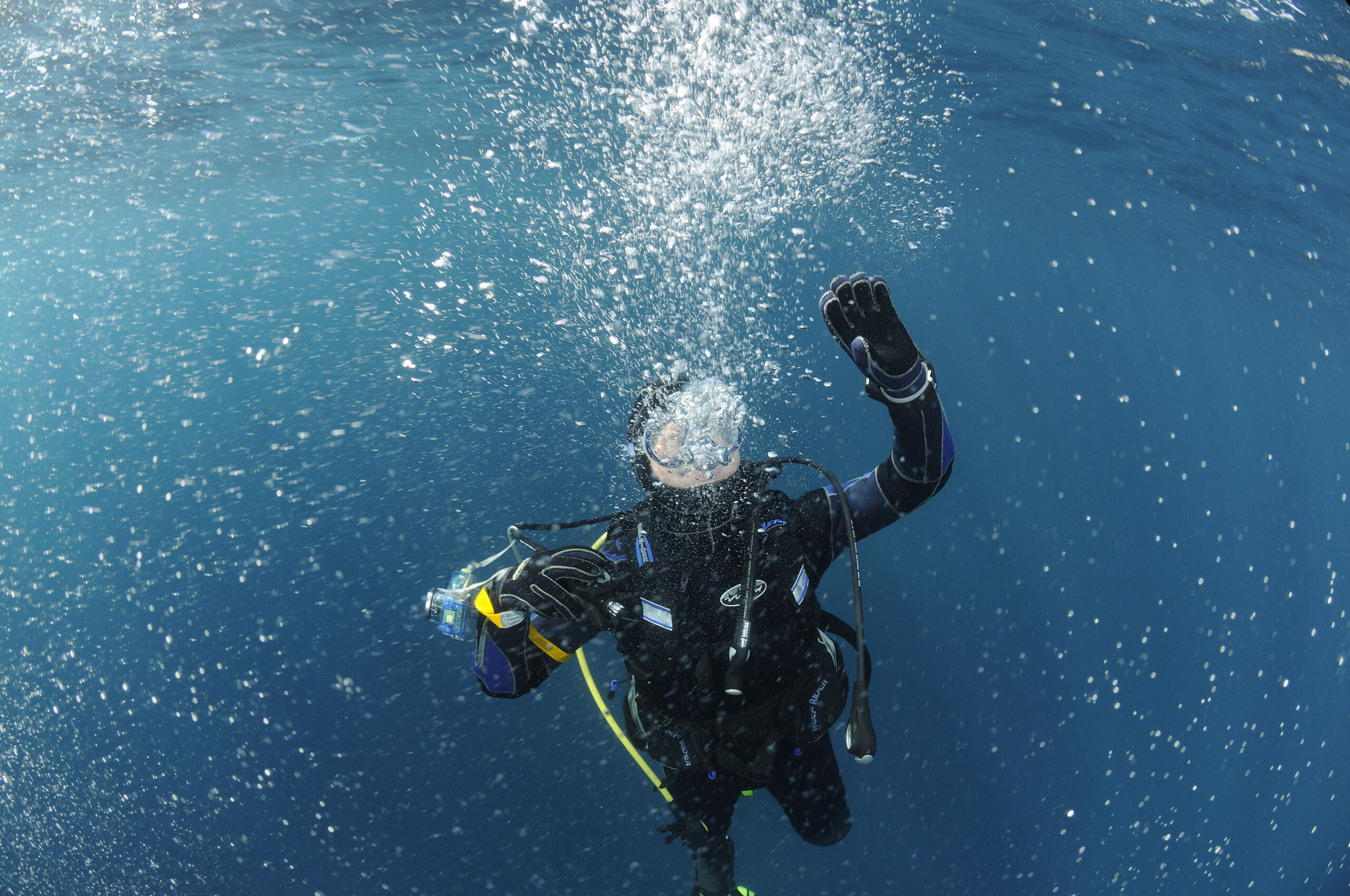Falsch reagiert - TAUCHEN.de