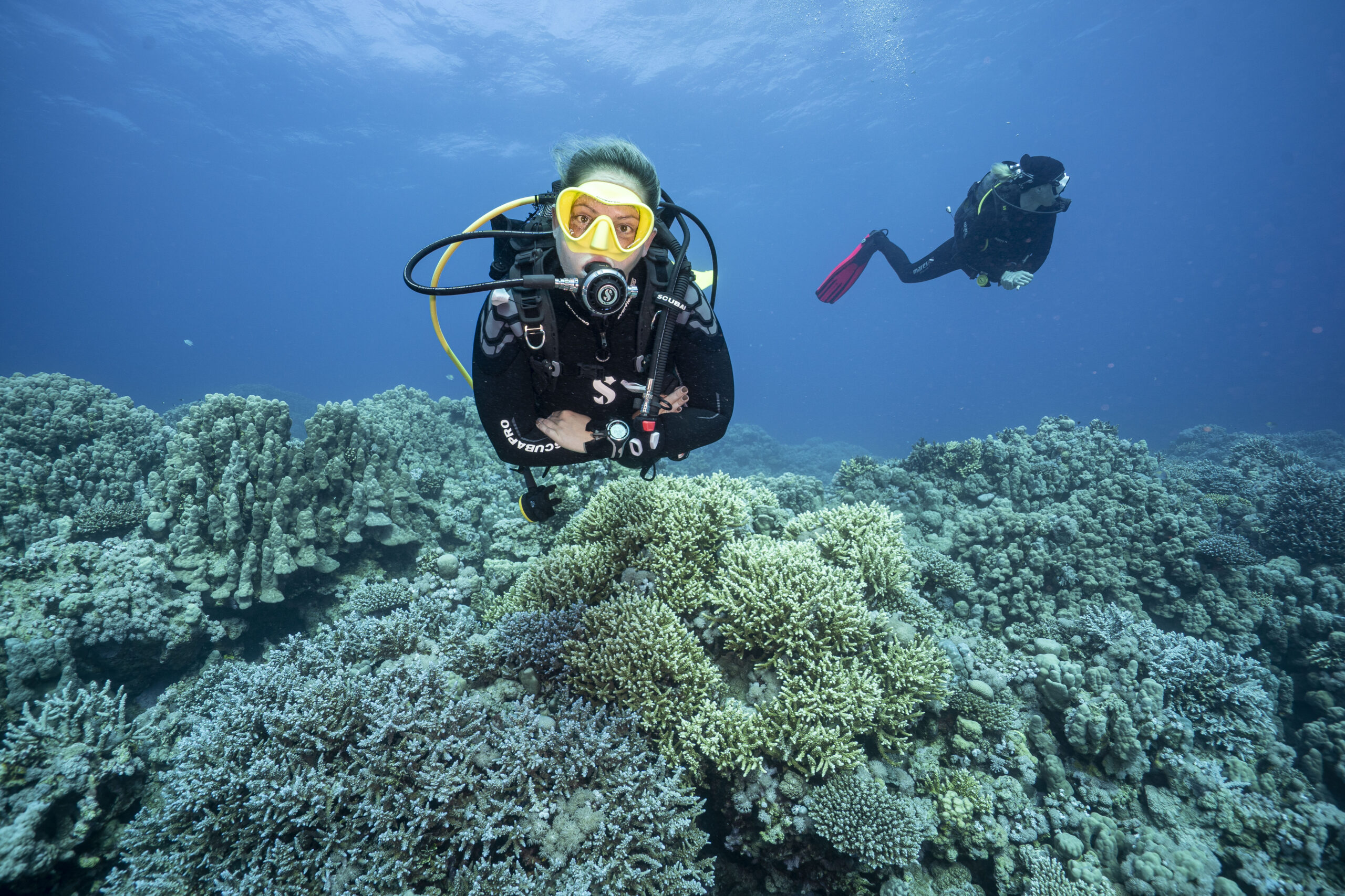 Ein vermeintlich ganz normaler Tauchgang - TAUCHEN.de