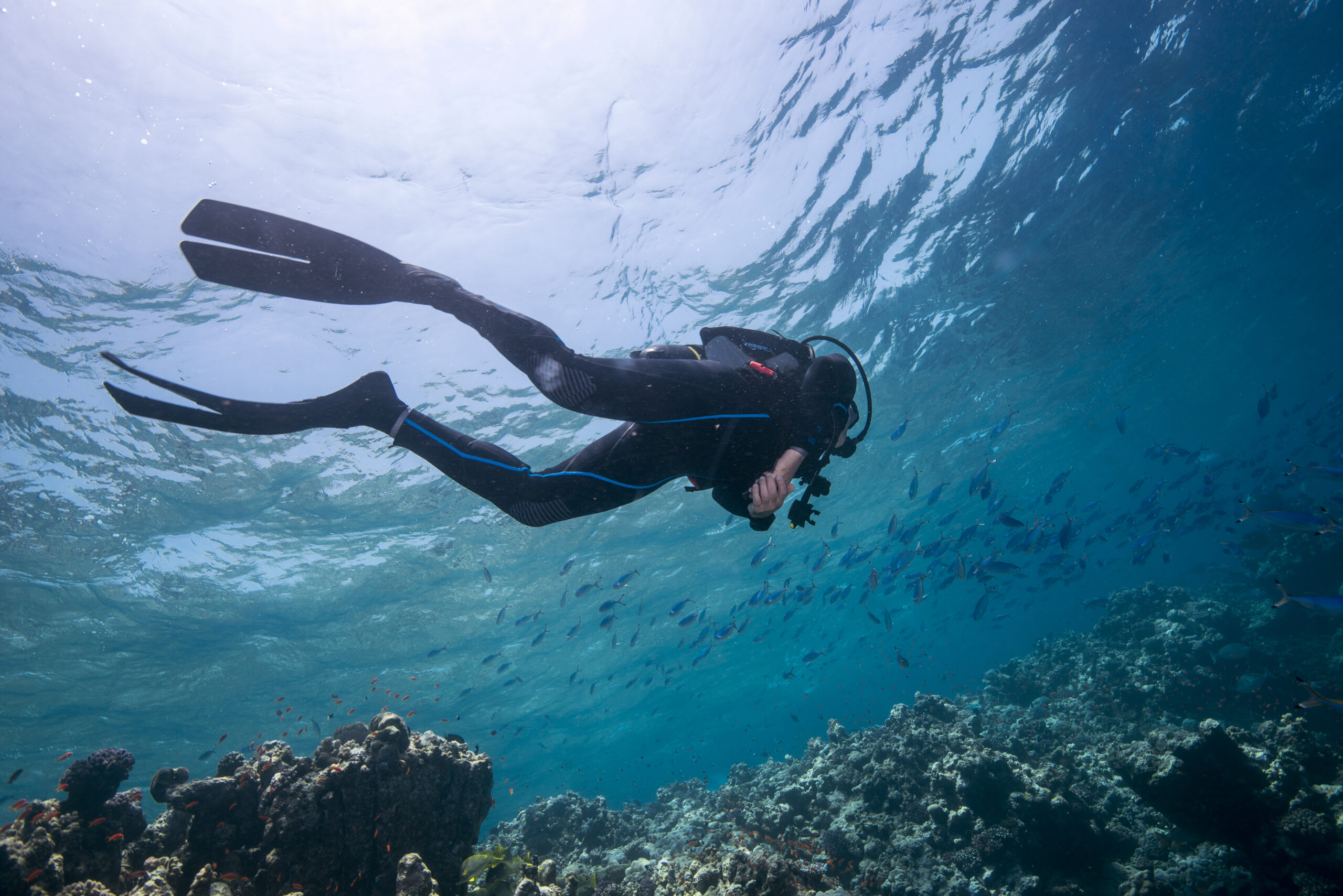 Muskulatur beim Tauchen: was geschieht mit unserer Antriebseinheit ...