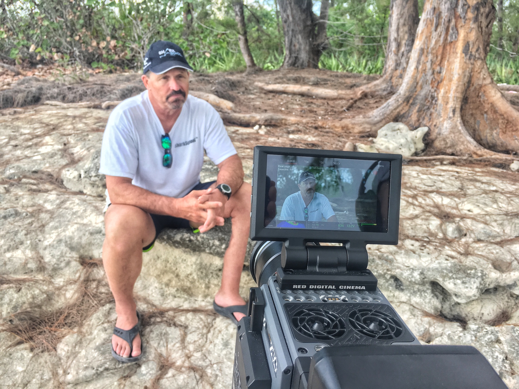 Video-Interview: Dr. Erich Ritter spricht über neue Hai-Erkenntnisse