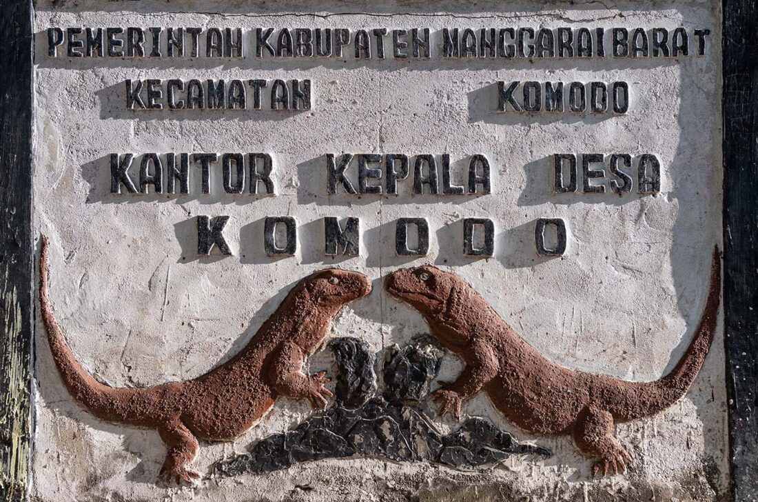 Tauchen um Komodo: Safari zwischen Mantas und Waranen - TAUCHEN.de