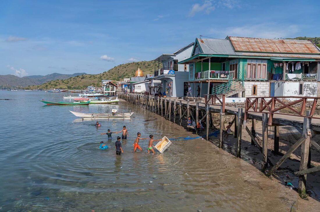 Tauchen um Komodo: Safari zwischen Mantas und Waranen - TAUCHEN.de